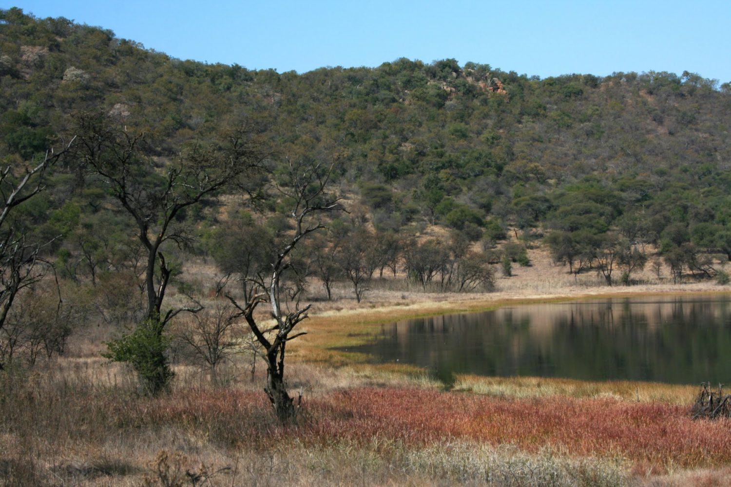 Gallery: Tswaing Crater – Visit Tshwane